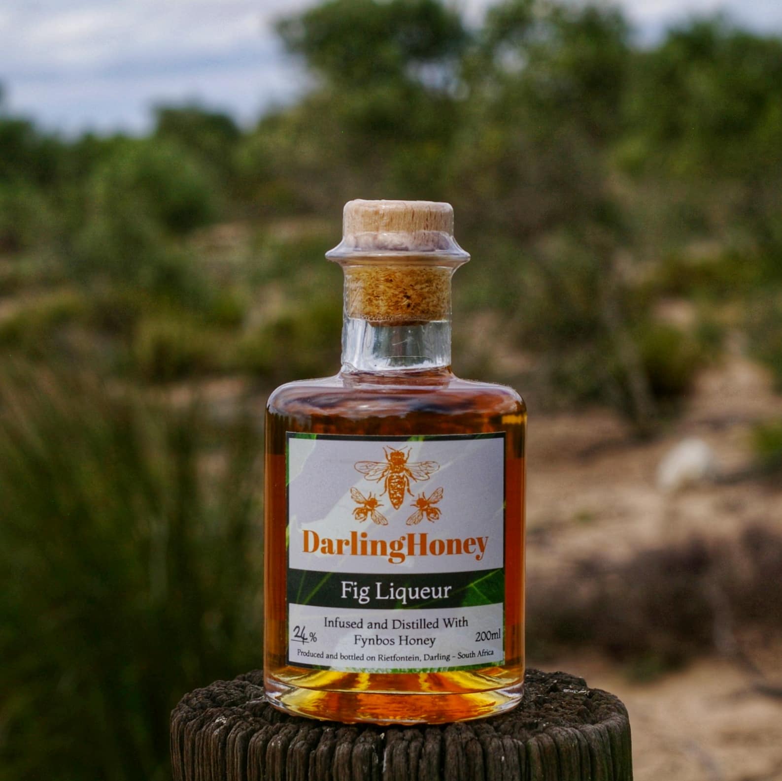 Delicious Fynbos Honey Fig Liqueur from South Africa